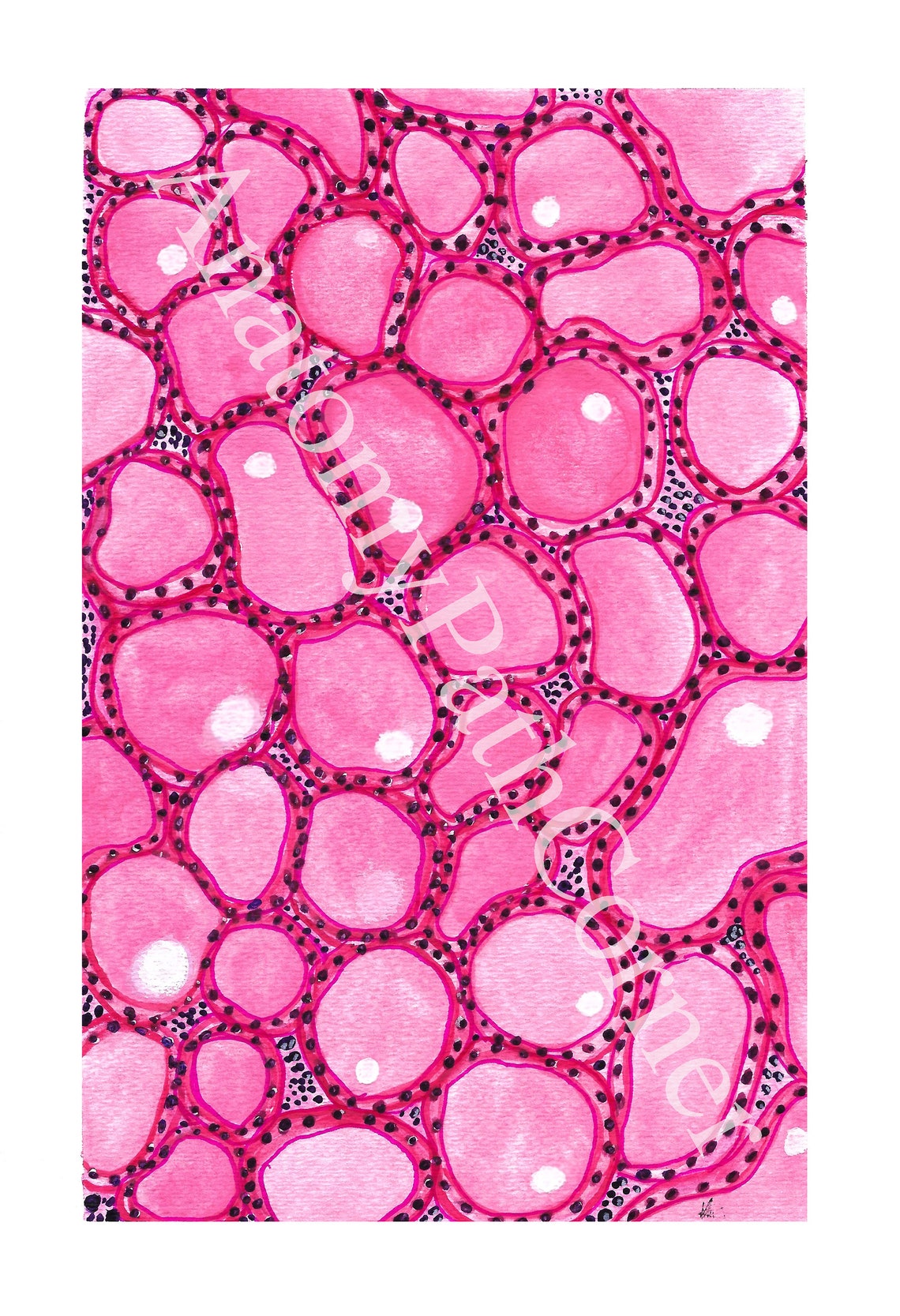 Anatomy Art, Histology Print, Digital Download, Thyroid Art, Watercolor ...