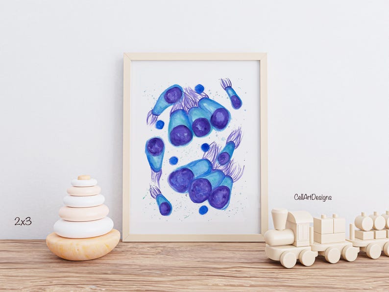Histology Art, Cytology Art, Anatomy Wall Art, Watercolor Print, Doctor ...