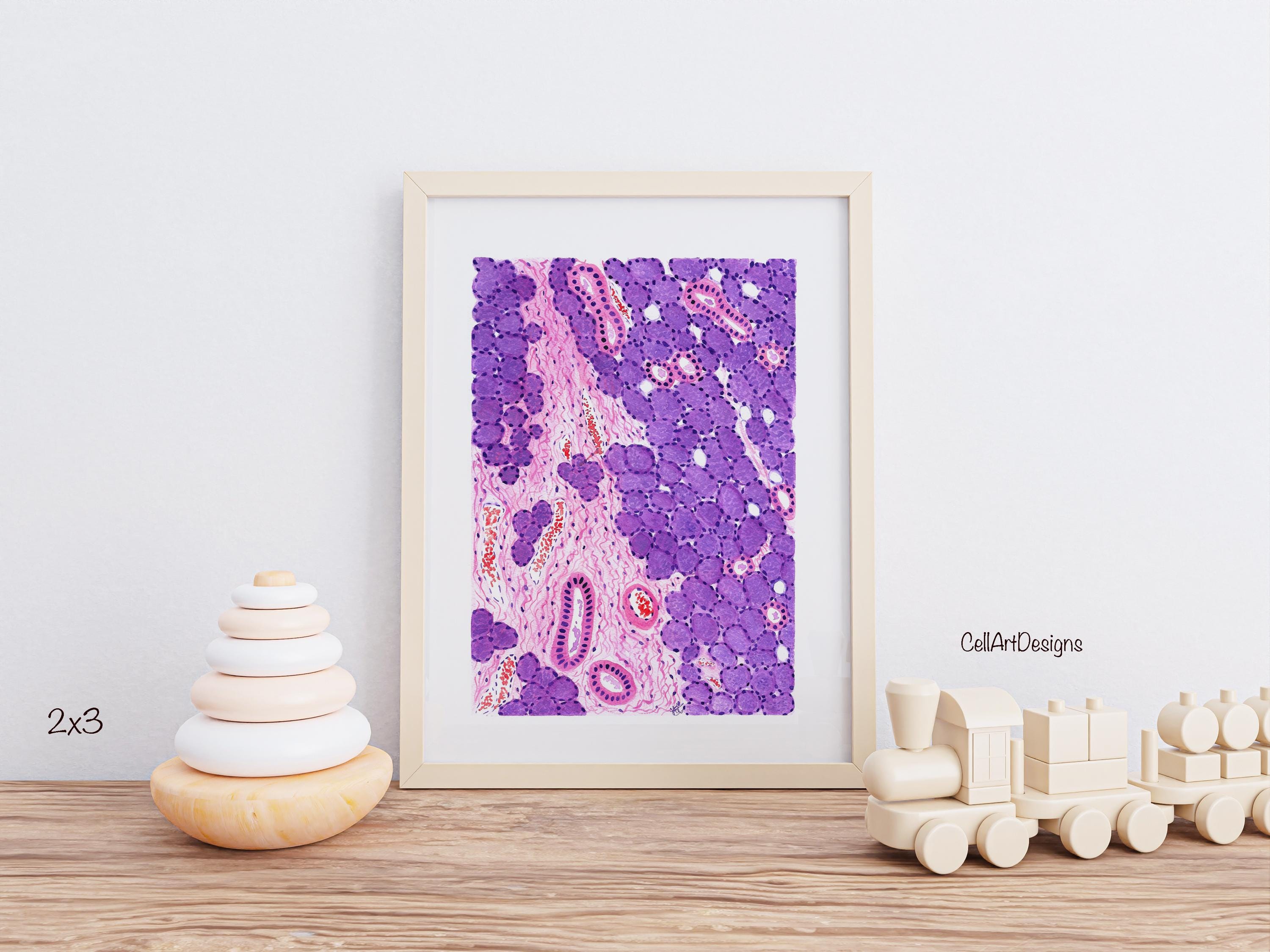 Parotid Gland Watercolor Digital Art: Histology Pathology Print ...