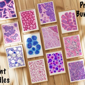 Custom Histology Art Bundle – Choose 3, 5, or 7 Digital Prints ...