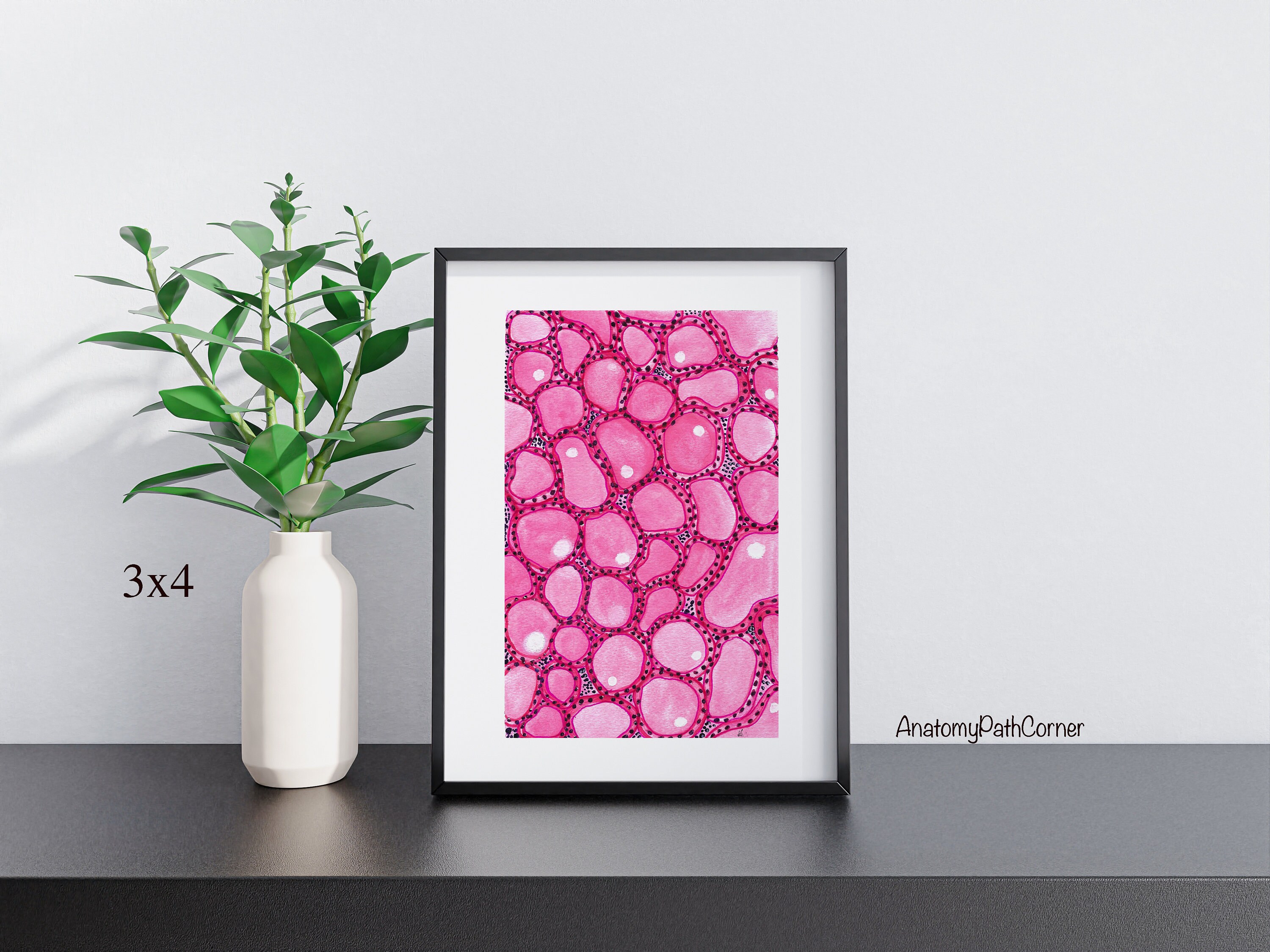 Thyroid Histology Watercolor Art Print: Medical Office Decor (digital ...