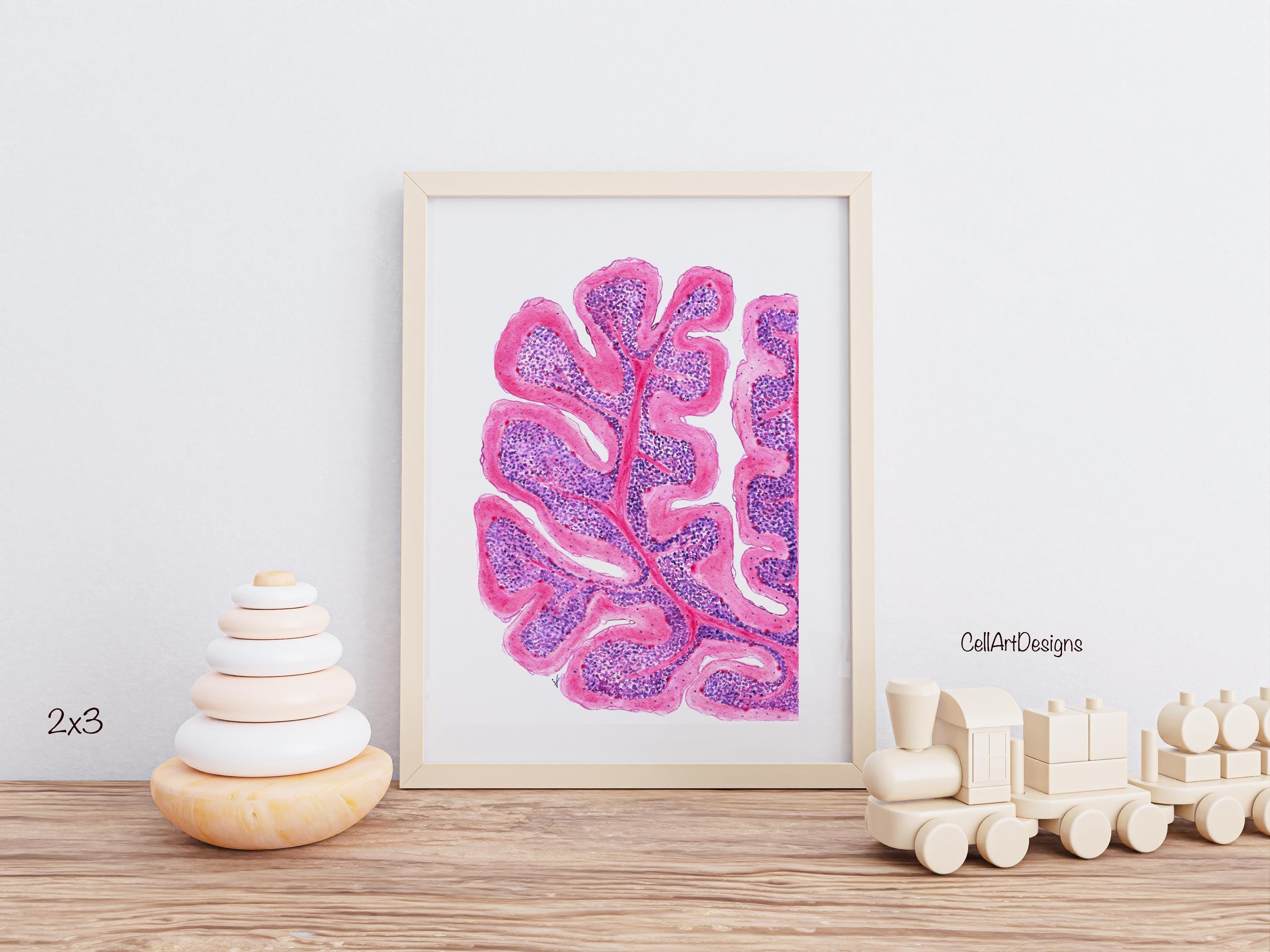 Histology Art Print, Medical Wall Decor, Watercolor Pathology Poster ...