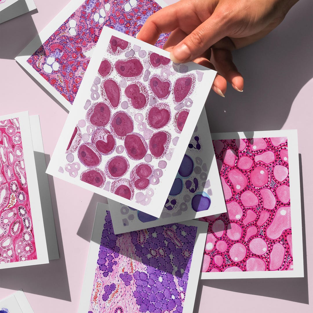 Histology Art Card Set | Pathology & Anatomy Designs | Handmade Glossy ...