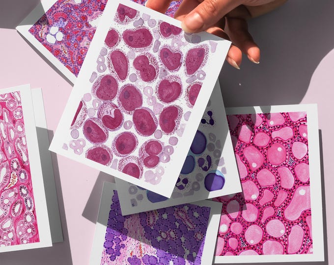 Histology Stickers, Set of 6, Pathology Stickers, Pathology Assistant ...
