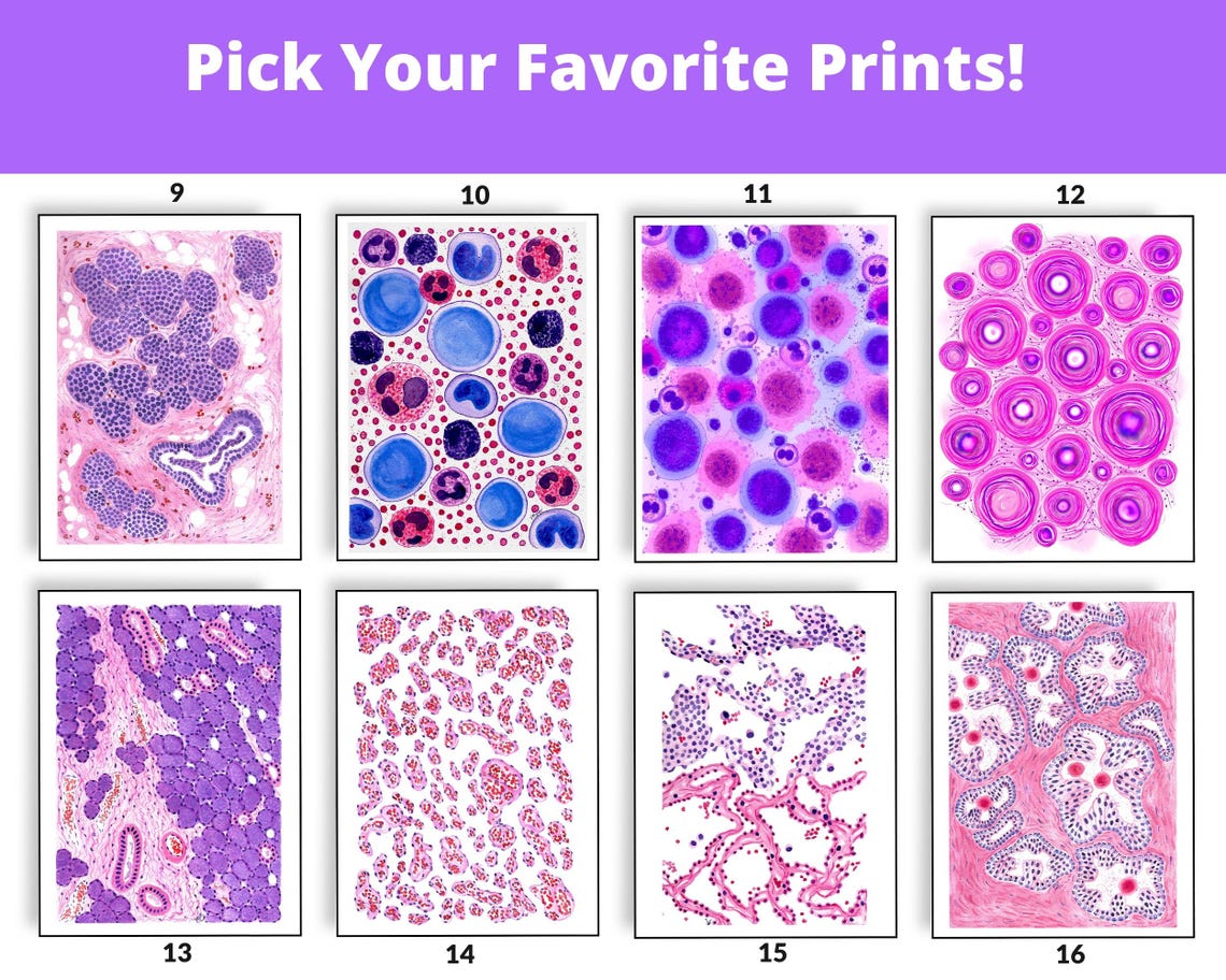 Custom Histology Art Bundle – Choose 3, 5, or 7 Digital Prints ...