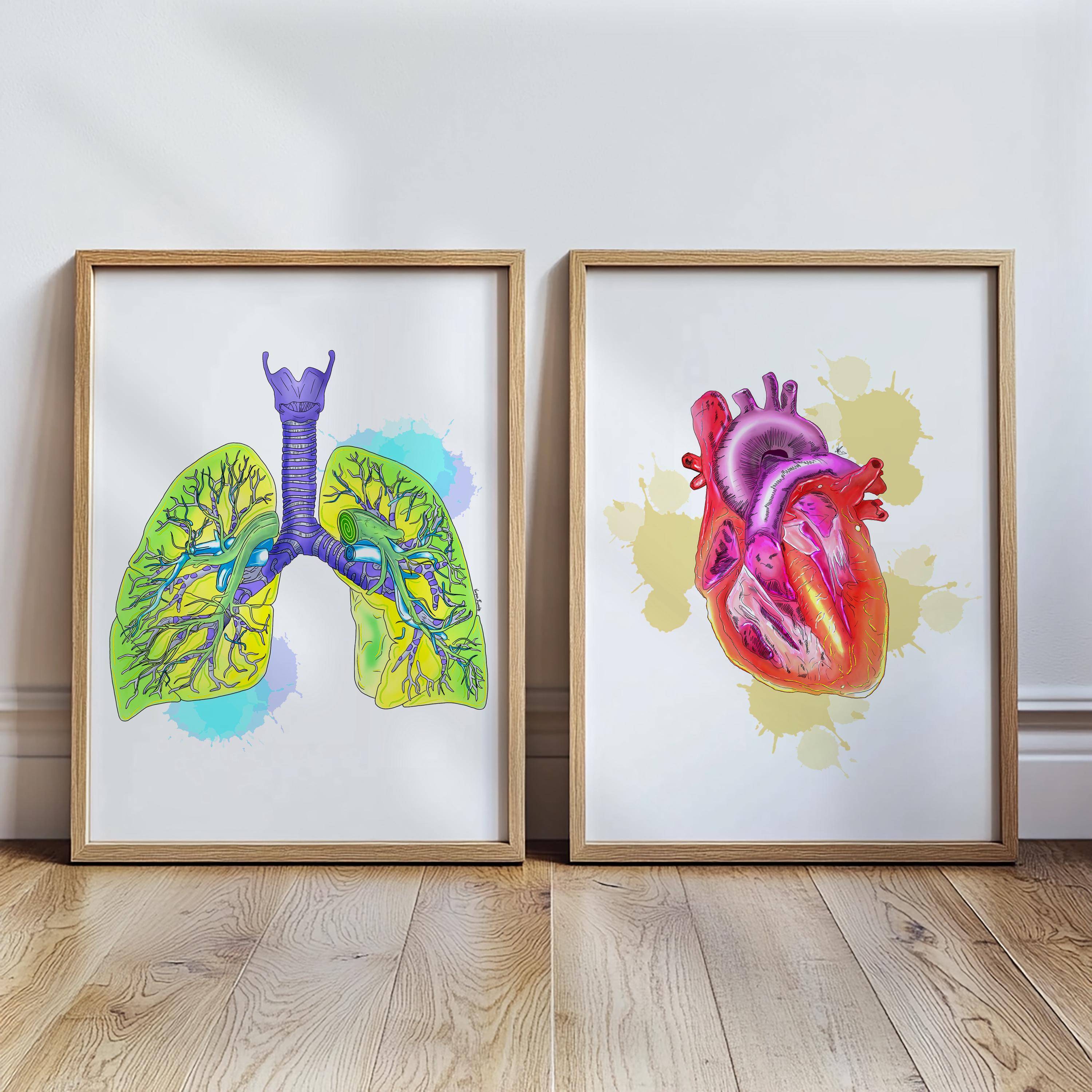 Heart and Lung Anatomy Digital Set: Medical Science Posters (digital ...