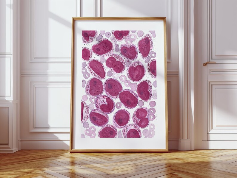 APL Histology Art: 9x12 Watercolor Painting, Med Student Gift - Etsy