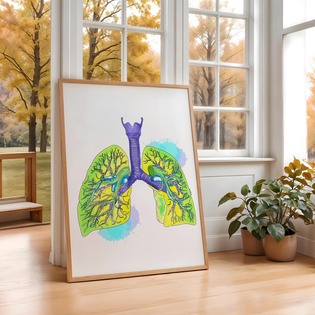 Lung Anatomy Art Print: Science Poster, Doctor Gift (digital Download ...