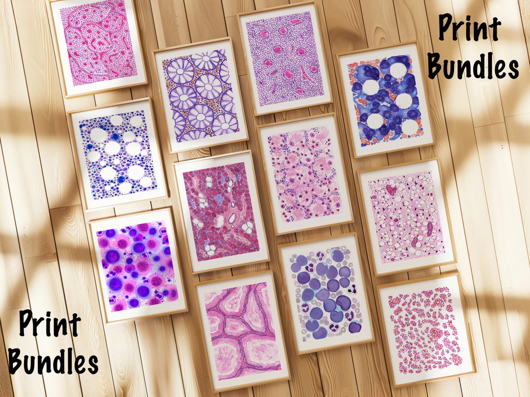 Histology Digital Art Bundle: Anatomy Medical Decor (digital Download ...