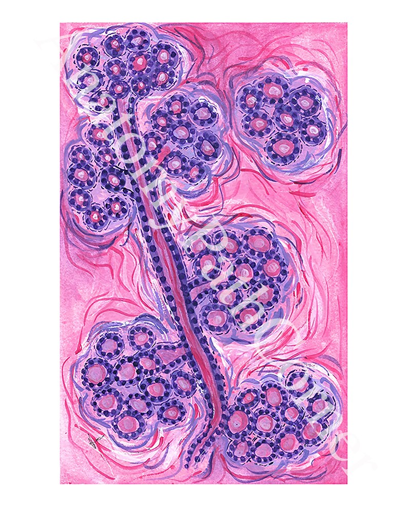 Histology Wall Art, Breast, Anatomy Wall Art, Watercolor Print, Doctor ...