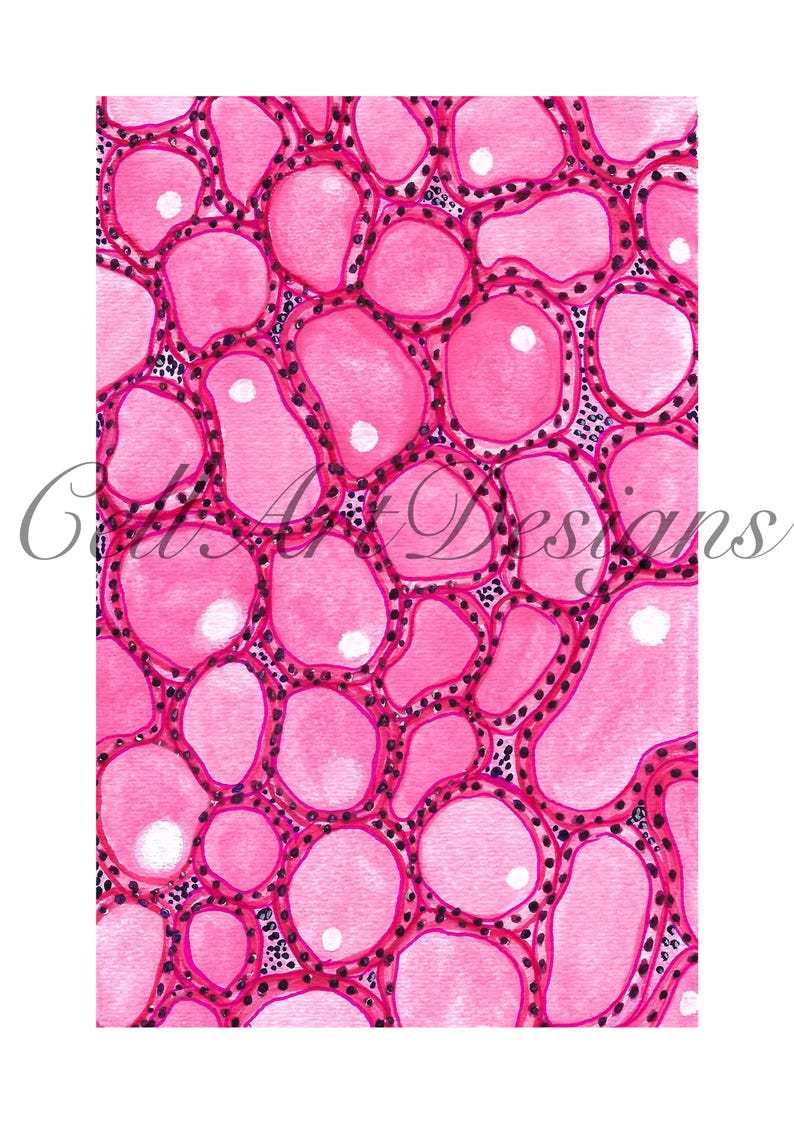 Thyroid Histology Watercolor Digital Print: Medical Office Decor ...