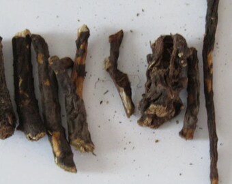 Bear Root Osha Root - Etsy