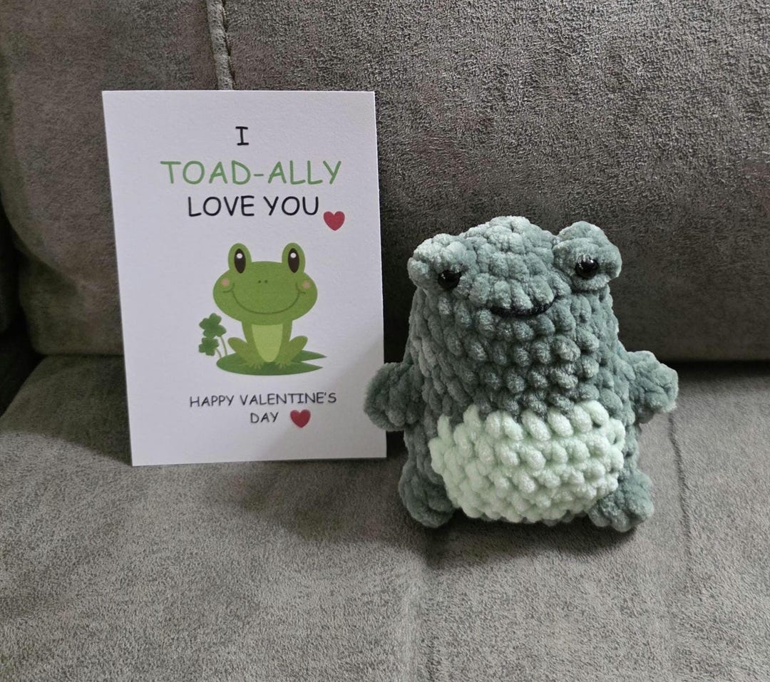 Froggy Valentine's Day Gift Set (crochet) - Etsy