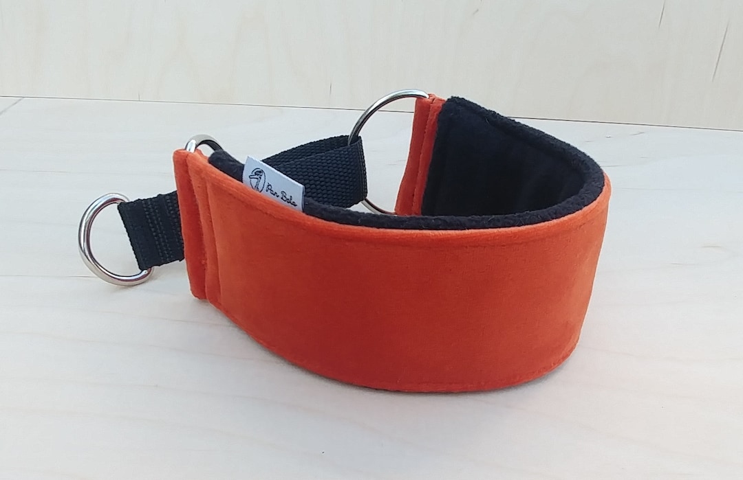 Bequemes, weiches, samtiges, elegantes Martingale-Hundehalsband ...