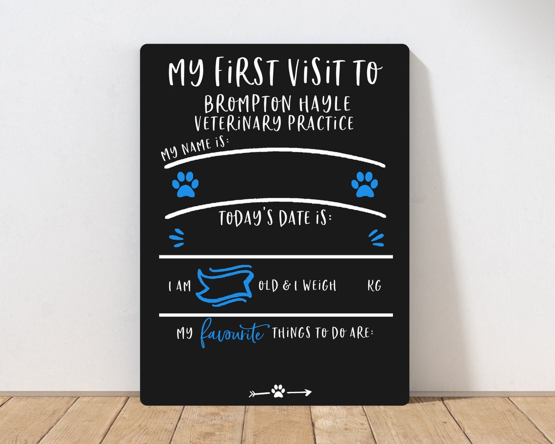 First Visit to the Vets Chalkboard | Kitten's First Trip to the Vets ...