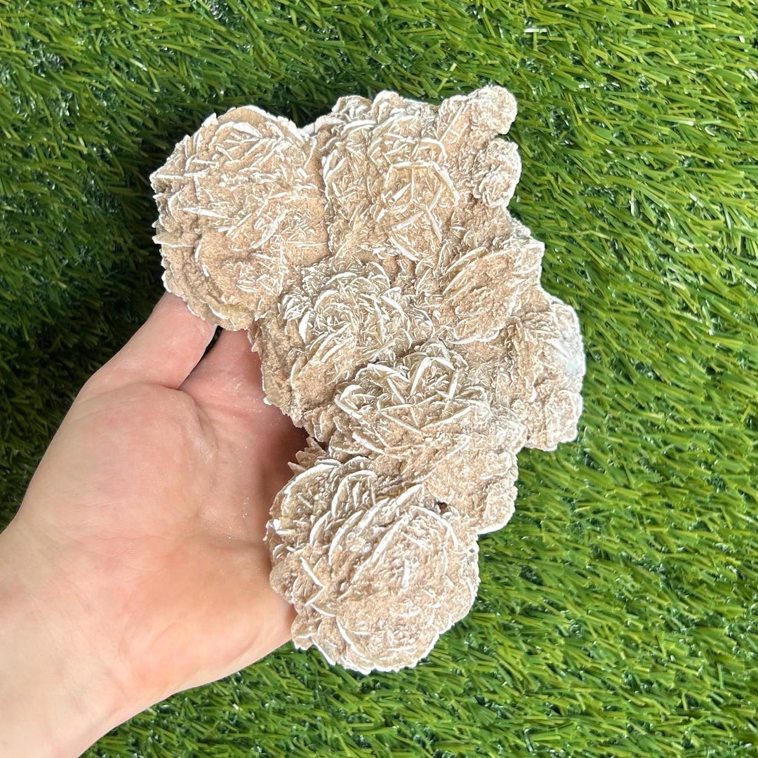 Beautiful Raw Natural Desert Rose Cluster 6.25" 1.70 Lbs | Gypsum Rock ...