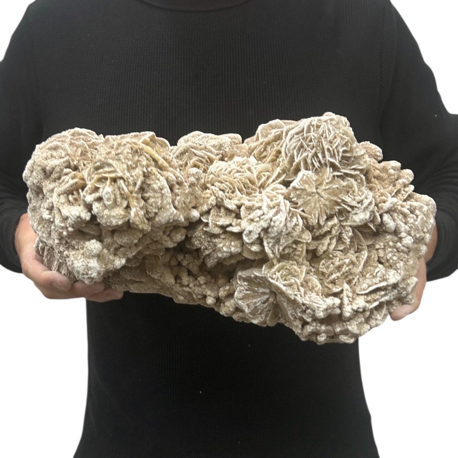 Huge Beautiful Raw Natural Desert Rose Cluster 13" 19.15 Lbs | Gypsum ...
