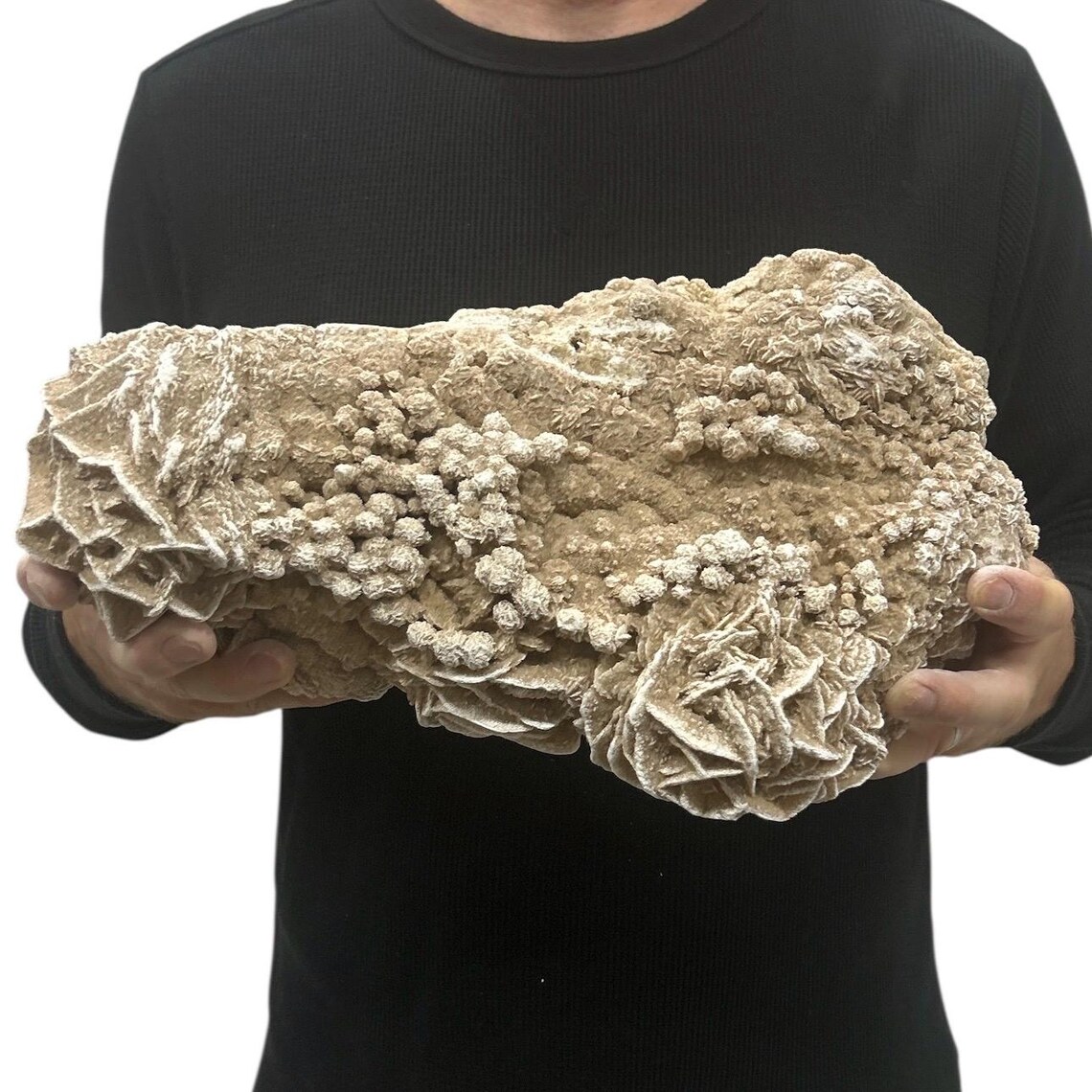 Huge Beautiful Raw Natural Desert Rose Cluster 13" 19.15 Lbs | Gypsum ...