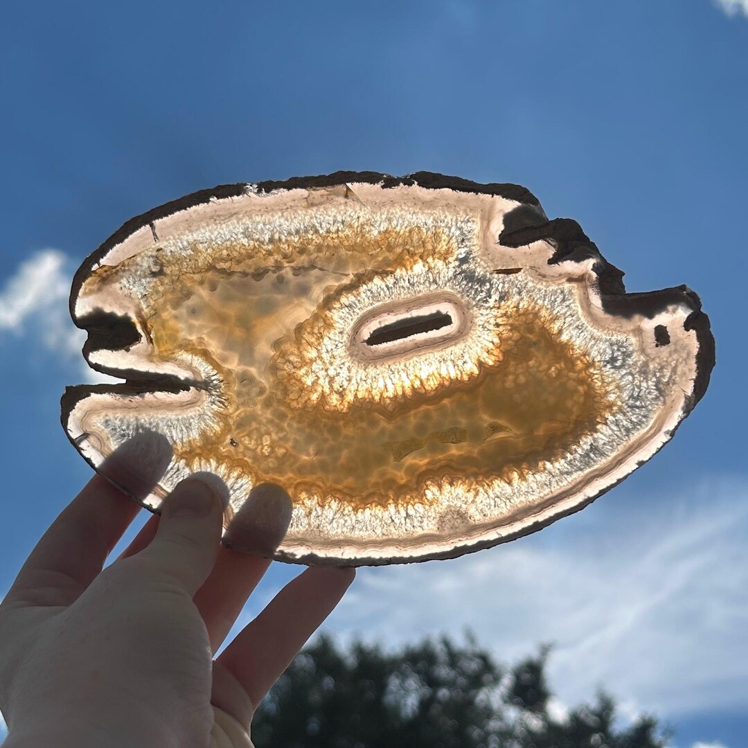 Large Agate Slab | Slice- Thin W/ Metal Stand | Natural Dark Brown ...