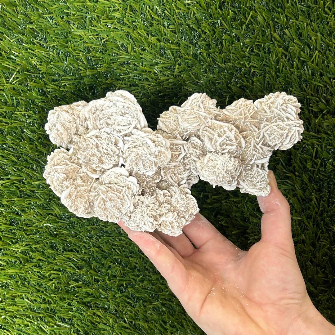 Beautiful Raw Natural Desert Rose Cluster 7" 1.30 Lbs | Gypsum Rock ...