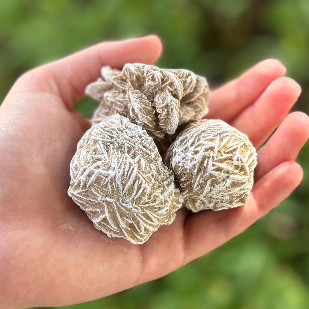 Beautiful Raw Natural Desert Rose Gypsum Rock Mineral 3-pack 2-2.5" - Etsy