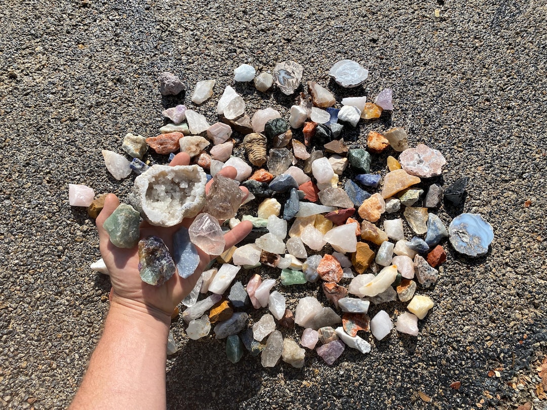 Large 12 Lb Bulk Minerals Rocks Fossil Geodes Assorted Wholesale Mix ...