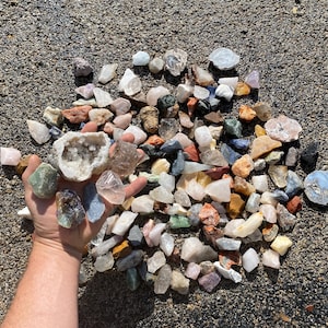 Large 12 Lb Bulk Minerals Rocks Fossil Geodes Assorted Wholesale Mix ...