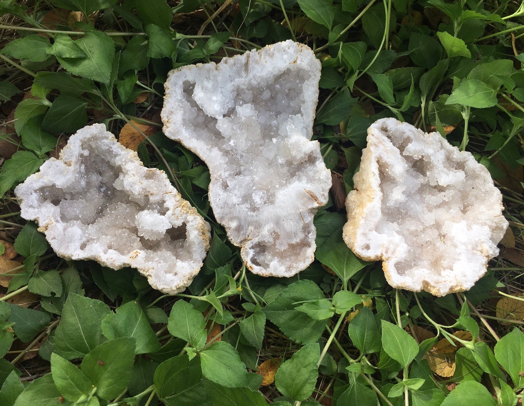 One Diamond Saw Cut Geode 2" Half | Moroccan Druzy Crystals Quartz ...
