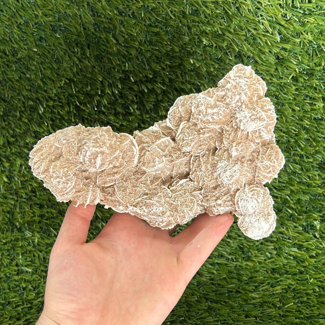 Beautiful Raw Natural Desert Rose Cluster 6.5" 1.53 Lbs | Gypsum Rock ...