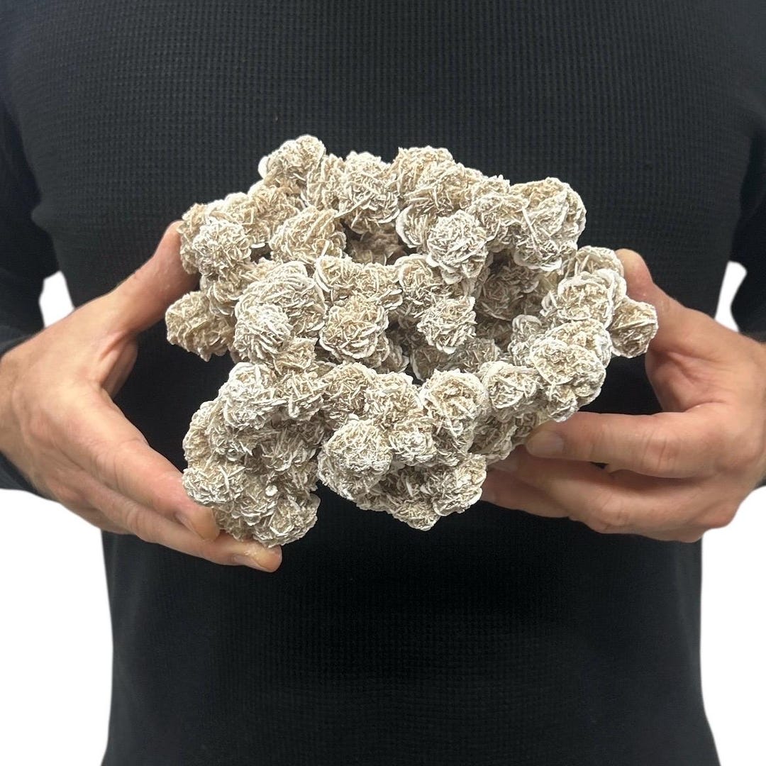 Beautiful Raw Natural Desert Rose Cluster 7.75" 3.25 Lbs | Gypsum Rock ...