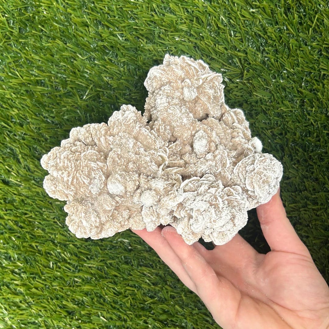 Beautiful Raw Natural Desert Rose Cluster 6" 2.27 Lbs | Gypsum Rock ...