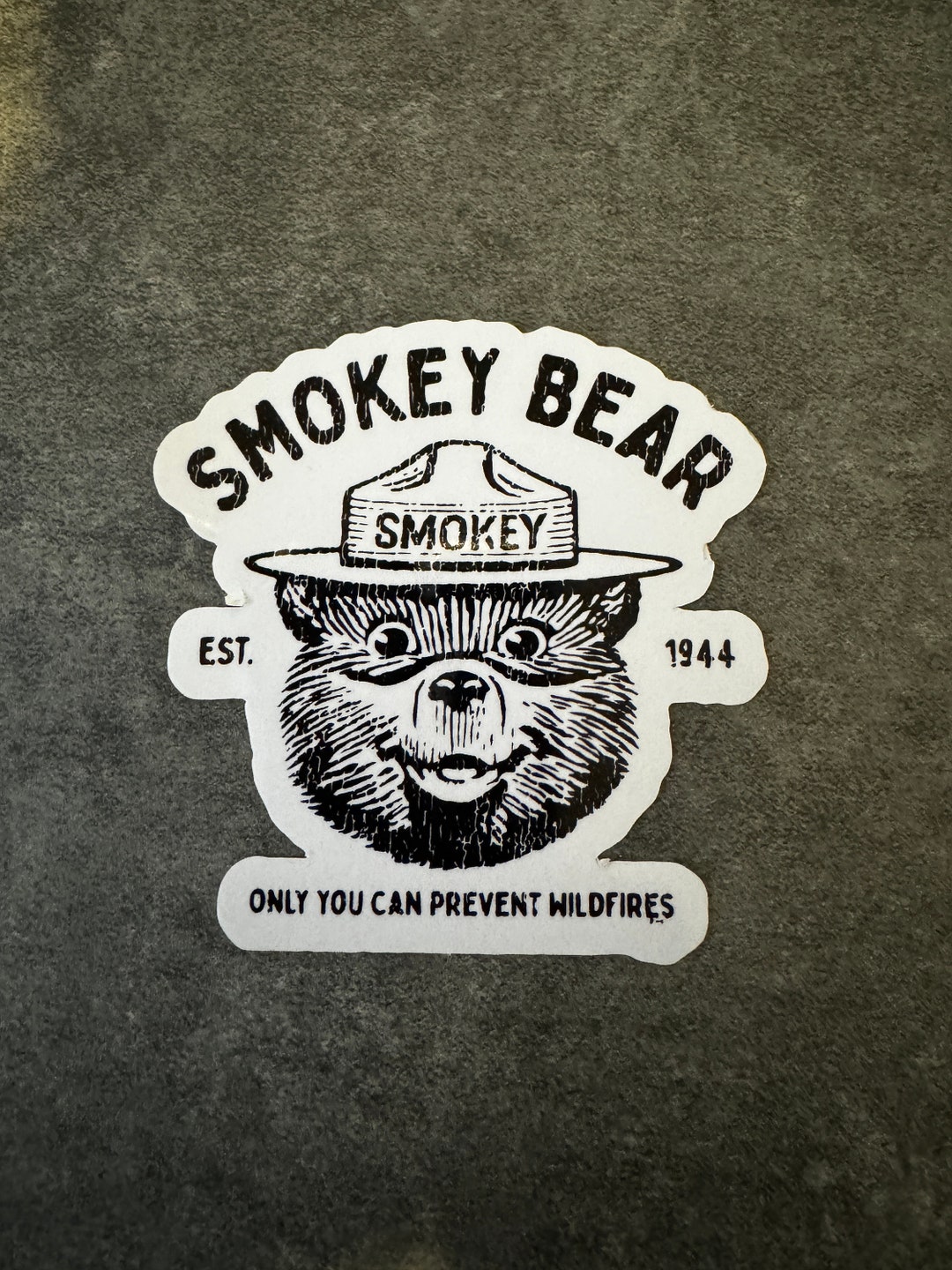Smokey Bear Sticker - Etsy