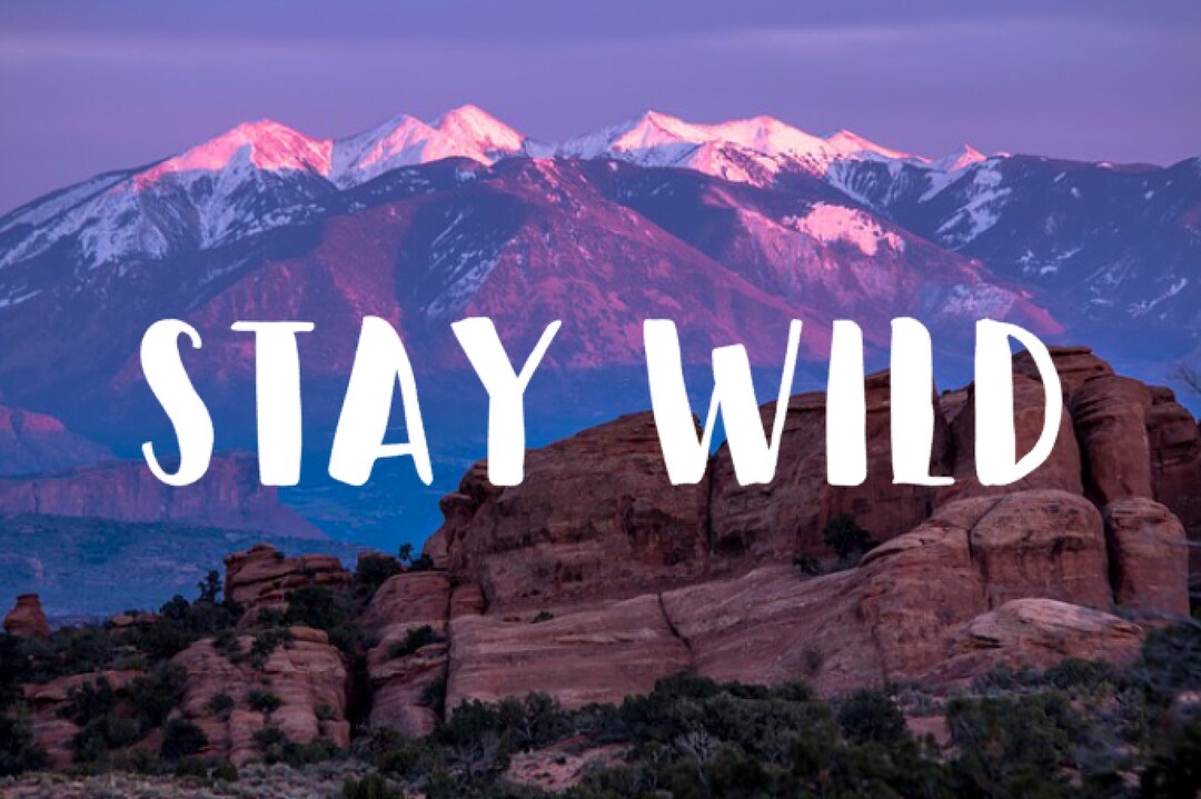 Stay Wild, Phone Decal, Laptop Decal, Car Decal, Choose Color and Size ...
