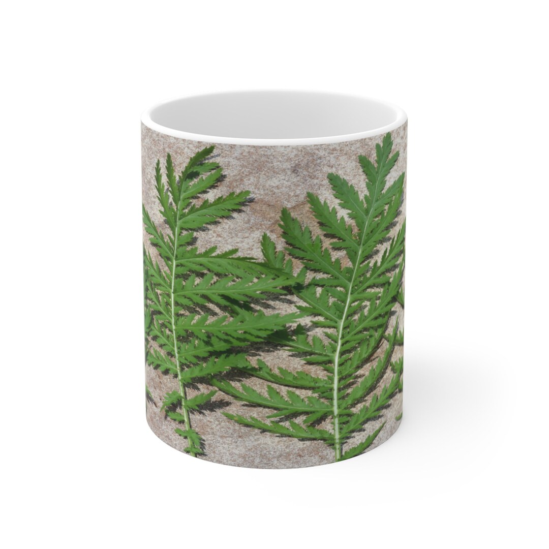 Four Ferns on Stone 11 Oz, Fern Mug, Cottagecore Décor, Nature Lover ...