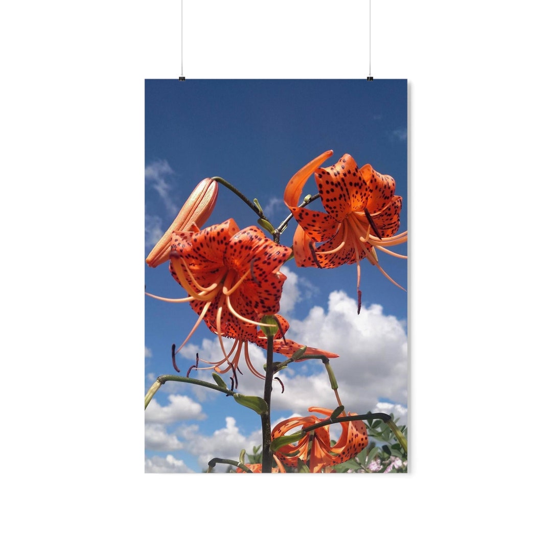 Lily in the Sky Matte Vertical Poster - Etsy