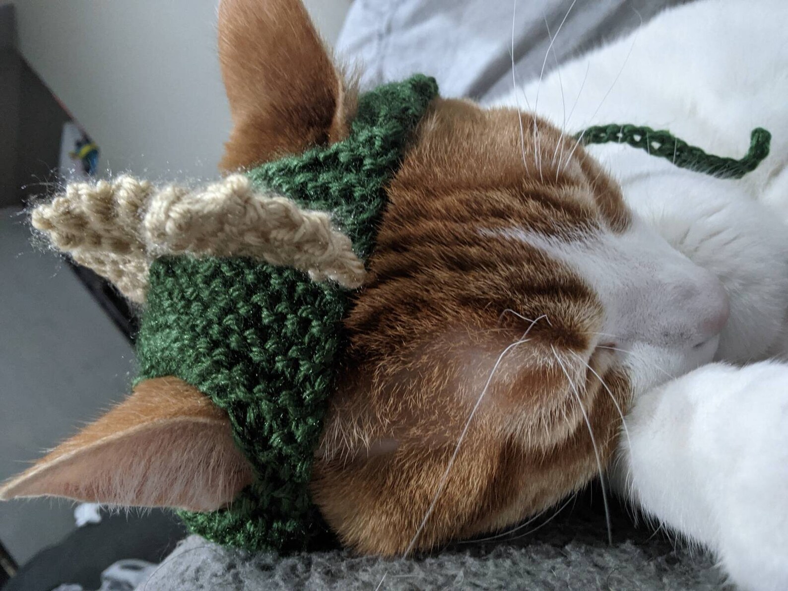 Cat Dino Hat - Etsy