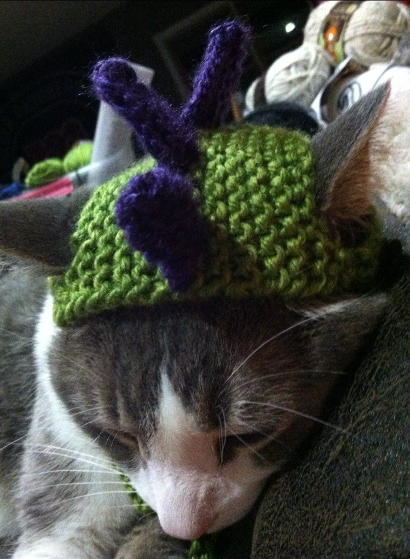 Cat Dino Hat - Etsy