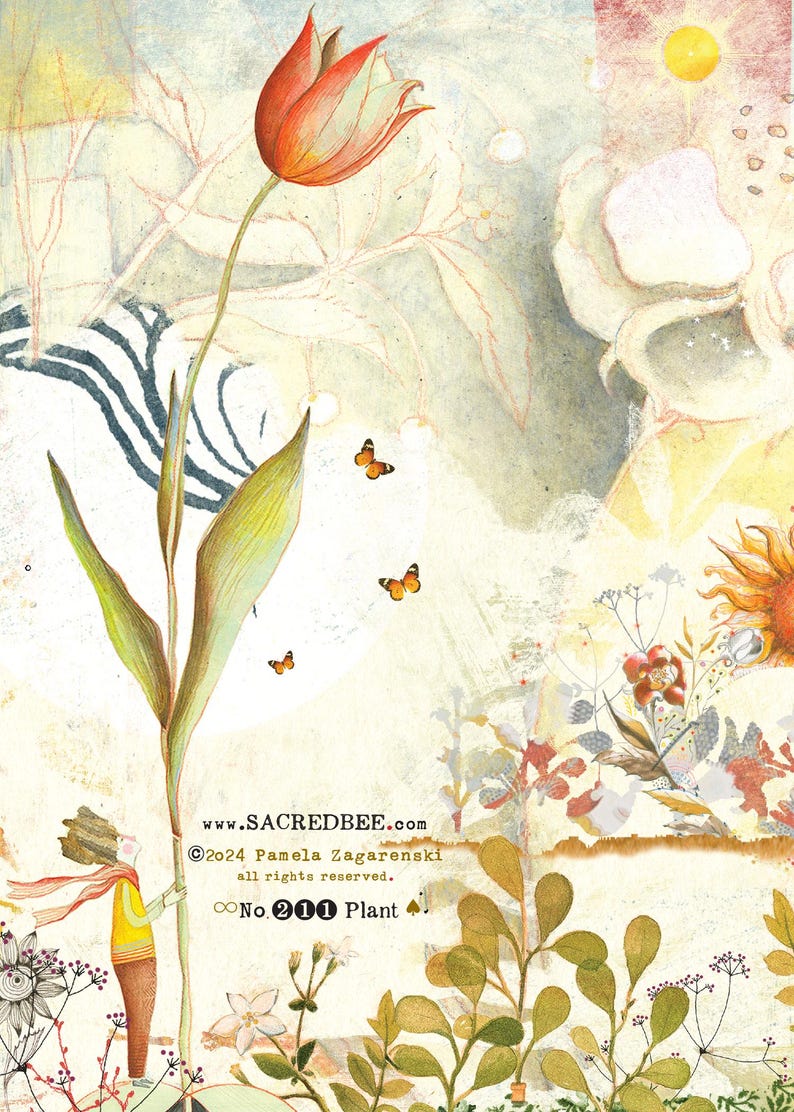 Sacredbee Card 211 Plant - Etsy