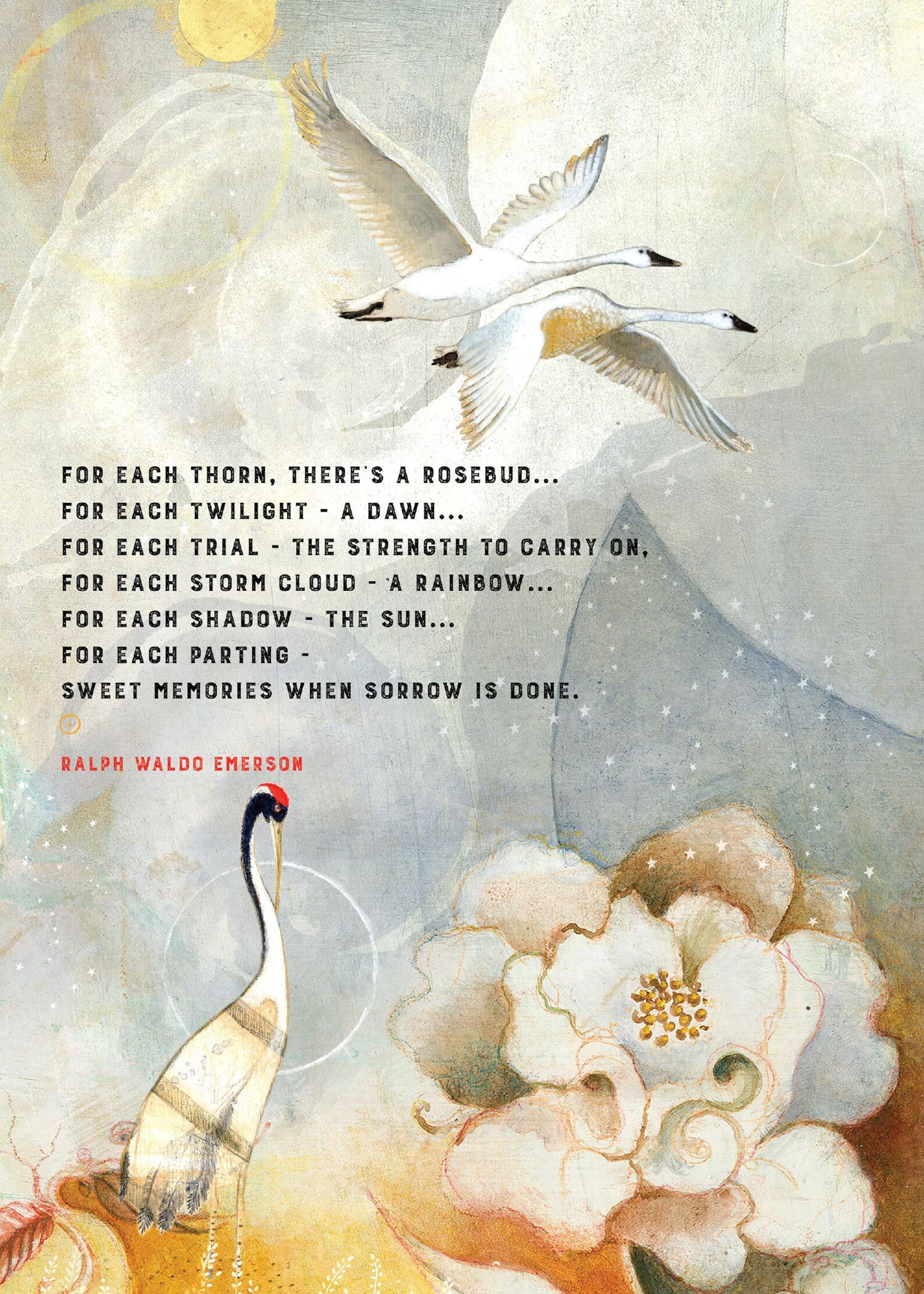 Sacredbee Card 536 Memories - Etsy