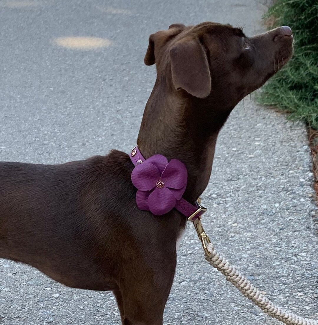 Beverly Amethyst Flowerette Slider With Rhinestone - Etsy