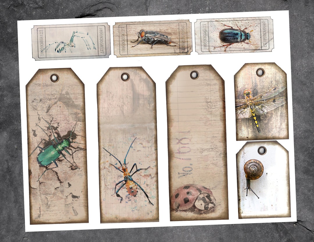 Printable Nature Junk Journal Ephemera Kit | 1 Digital Page | Bugs ...