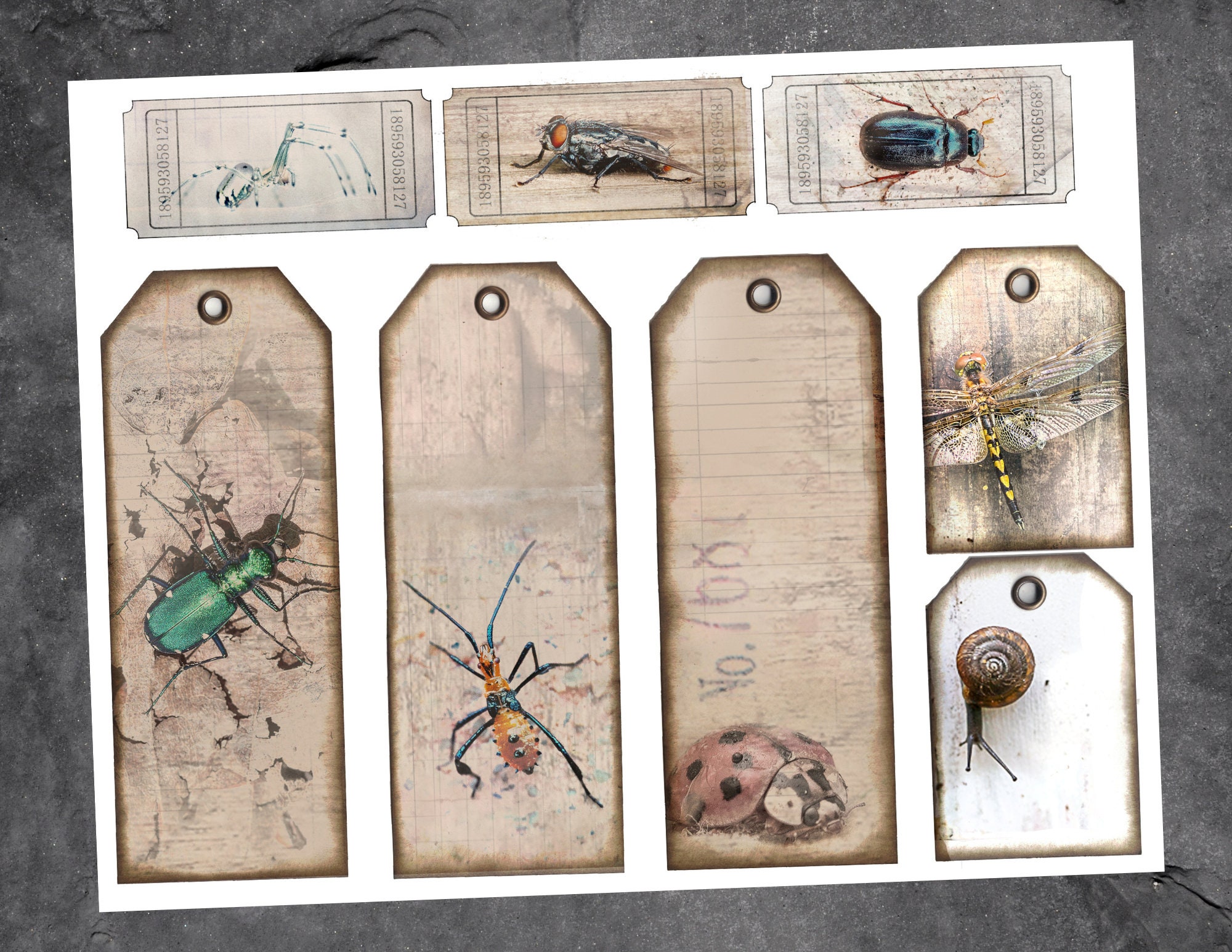 Printable Nature Junk Journal Ephemera Kit | 1 Digital Page | Bugs ...