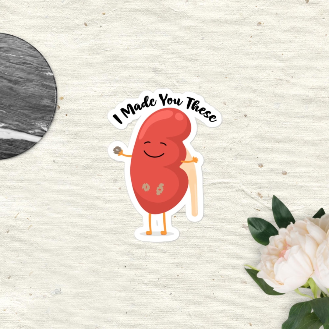 I Made You These Kidney Stone Sticker - Etsy