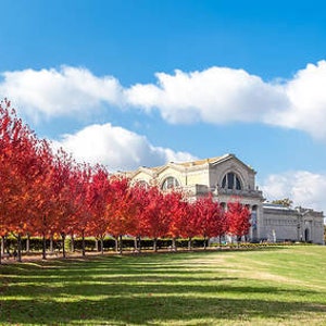 Art Hill in Fall - Fine Art Photography - St Louis, Missouri - STL ...