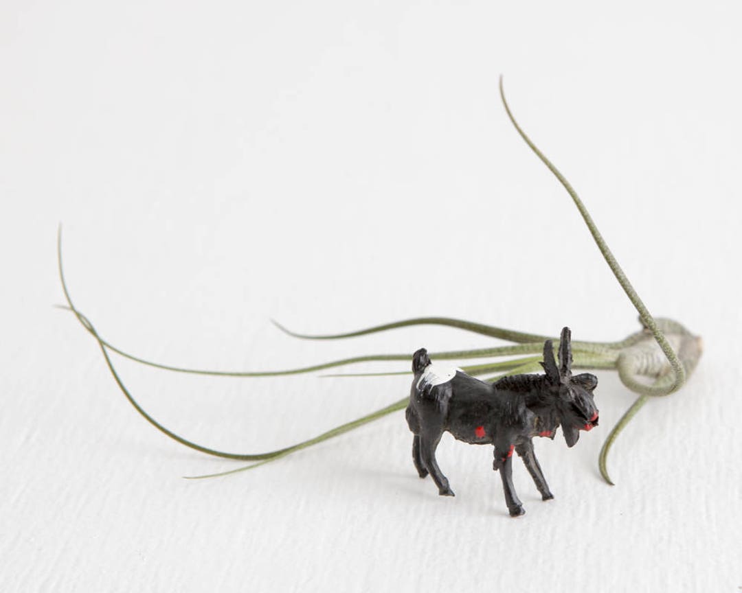 Vintage Miniature Zombie Goat, Plastic Miniature Terrarium Figurines ...