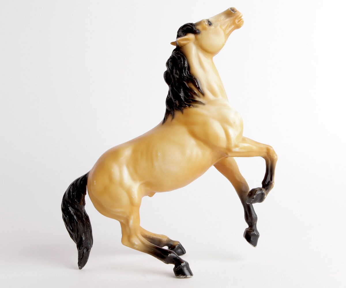 Buckskin Horses Rearing