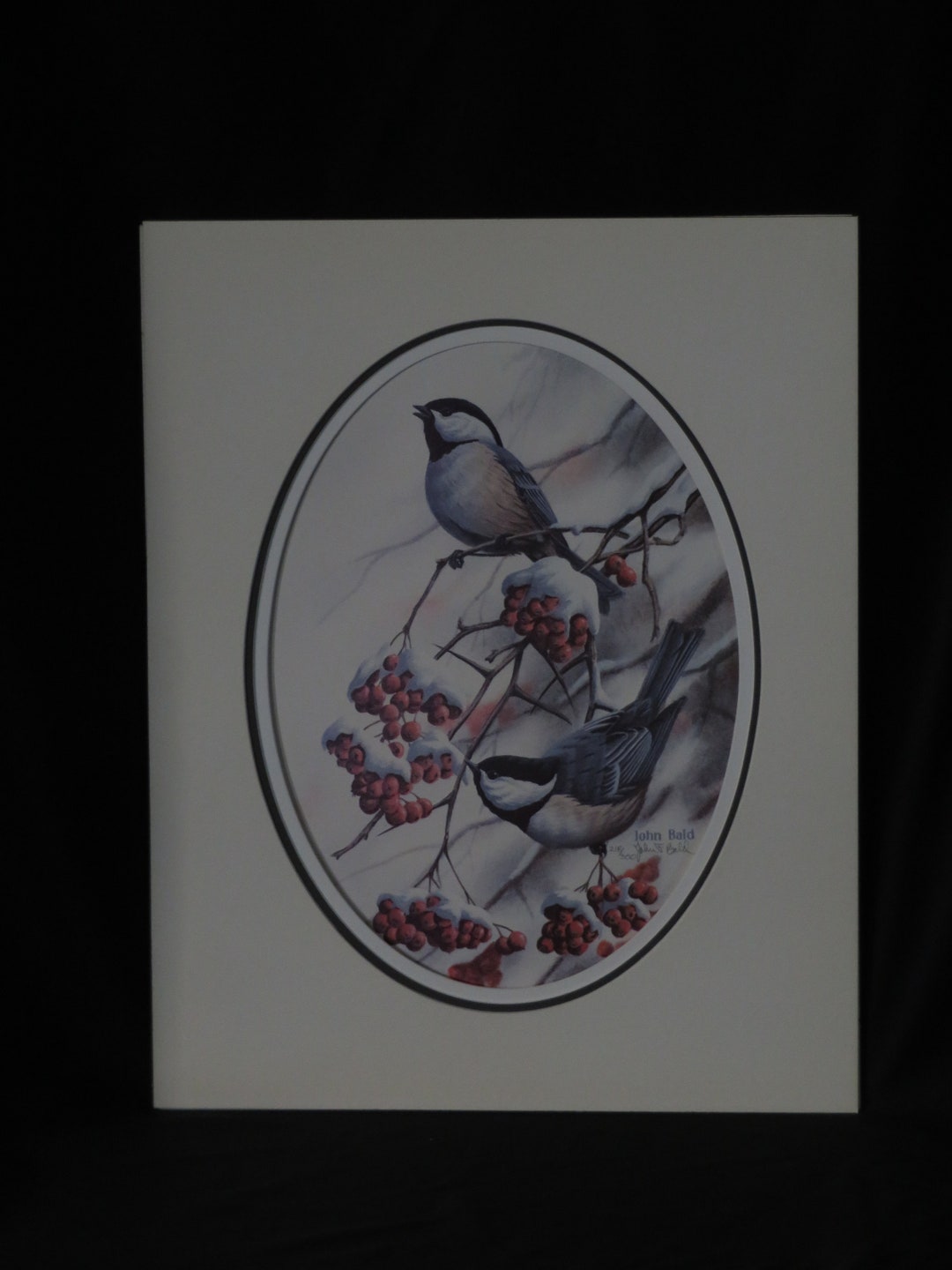 John Bald Wildlife Artist Triple Matted Signed and Numbered 11x15 Print ...
