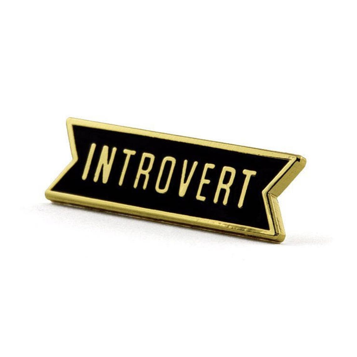 Introvert Enamel Pin - Etsy
