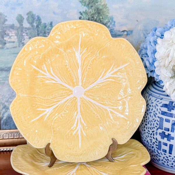 Cabbage Plates - Etsy