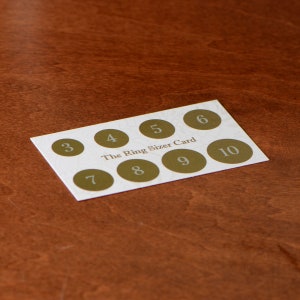 Ring Sizing Kit | Plastic Belt Ring Sizer (size 1 to Size 17) Size for ...